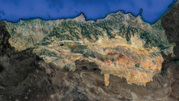 Université Antonine (UA) - 360 Experience